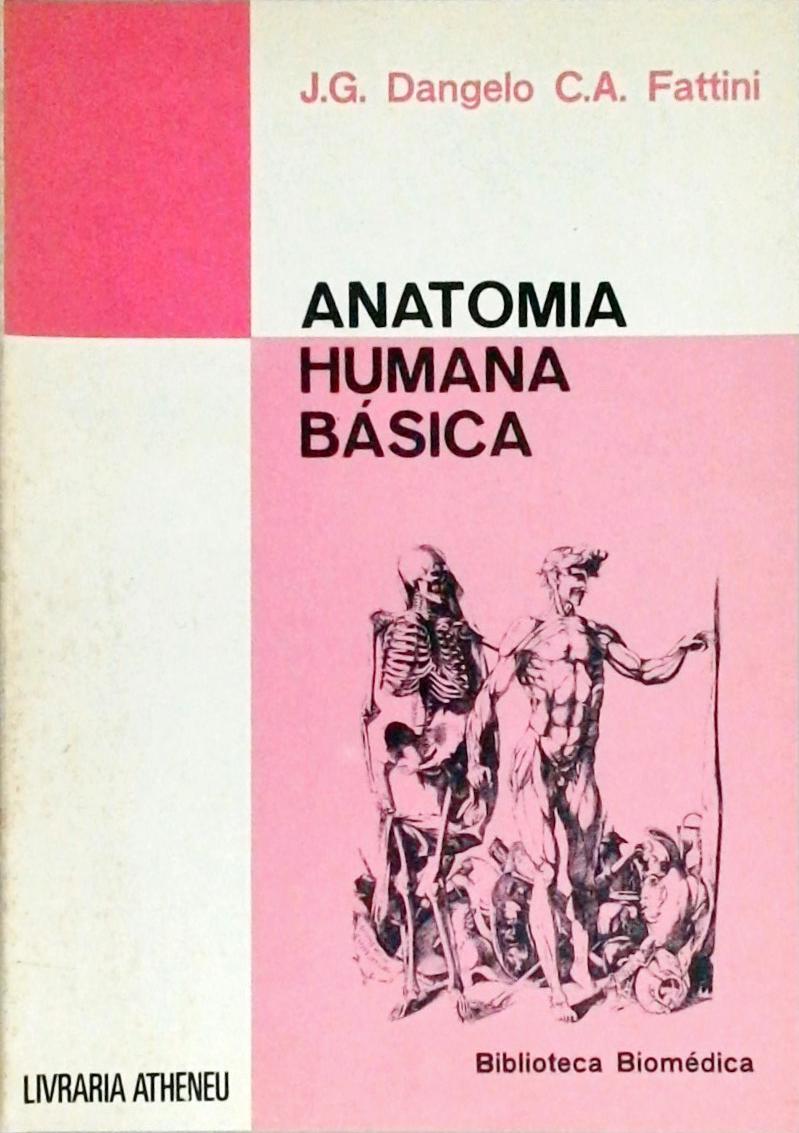 Anatomia Humana Básica - José Geraldo Dangelo E Carlos Américo Fattini ... Anatomia Humana Básica - José Geraldo Dangelo E Carlos Américo Fattini ...